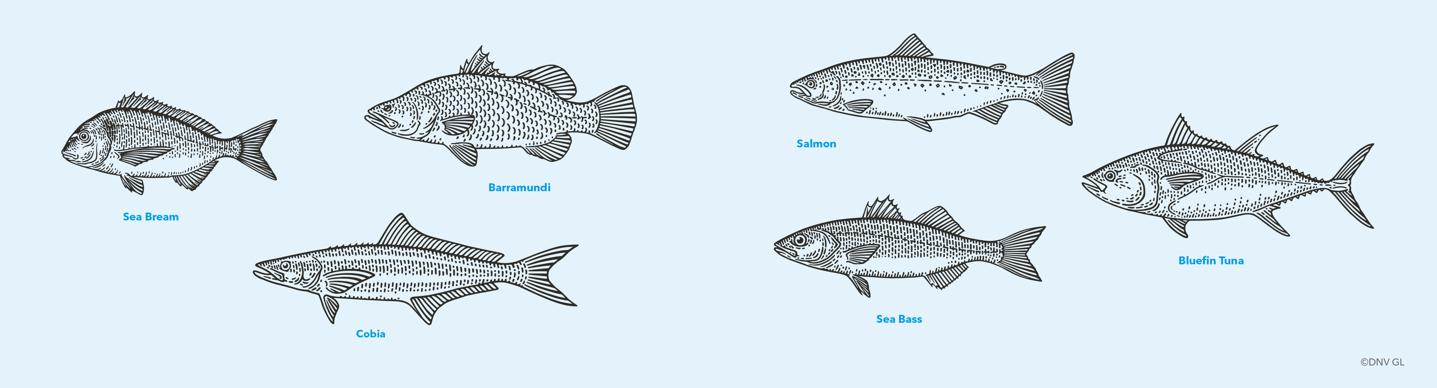 ASC - Aquaculture Stewardship Council standard