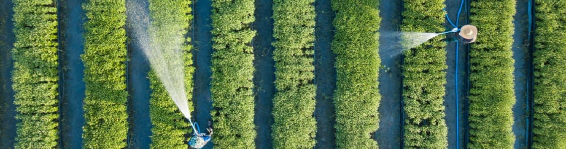 Corso - Water Footprint: ISO 14046