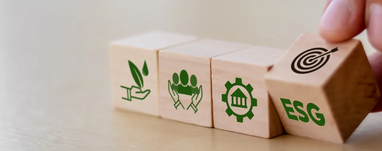 ESG Maturity Assessment