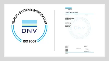 DNV - Business Assurance